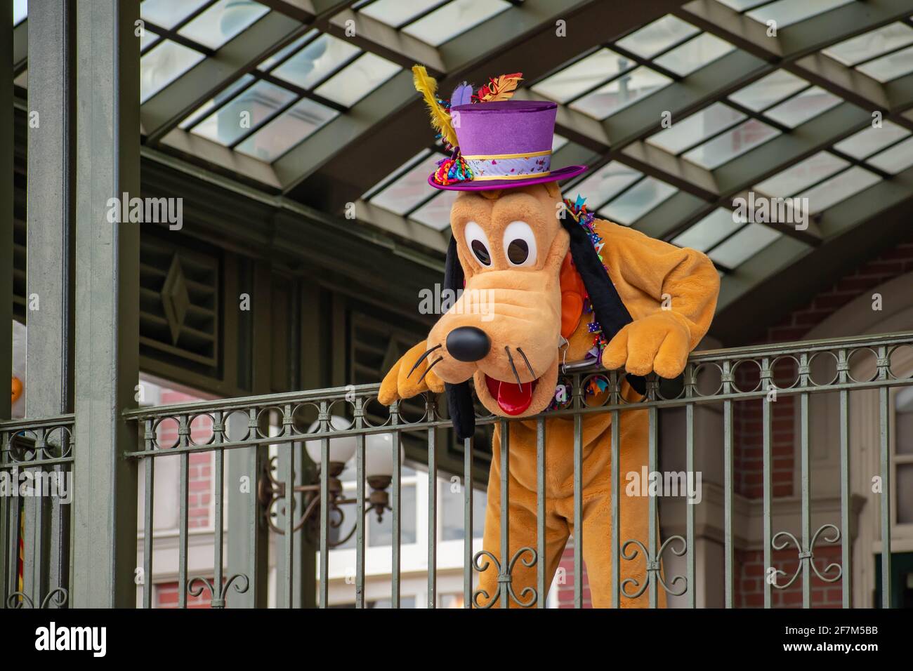 Orlando, Florida. August 04, 2020. Pluto waving from the balcony at ...