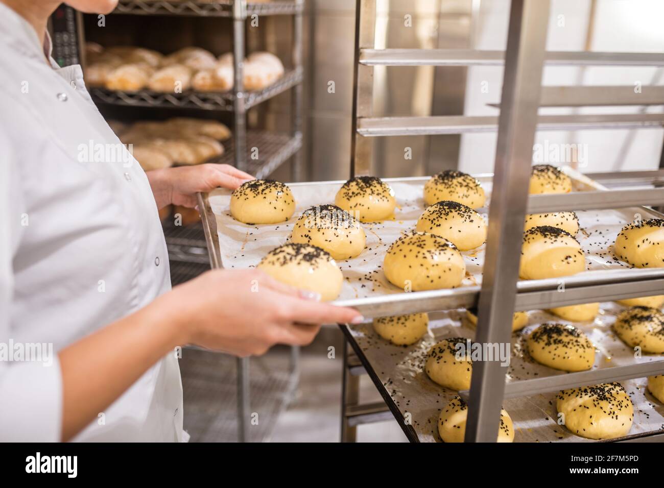Female hands with baking sheet of buns Stock Photo - Alamy