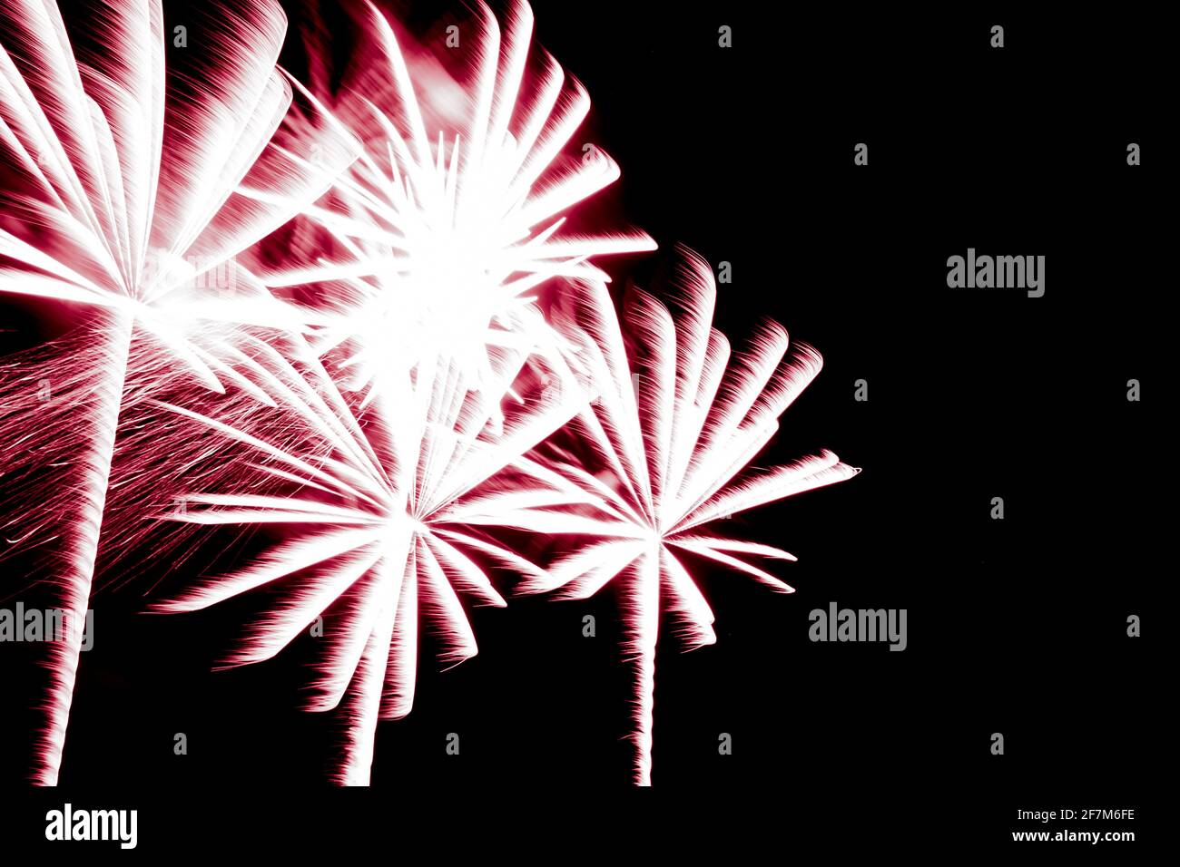 Luxury fireworks event sky show with red palm trees stars. Premium ...