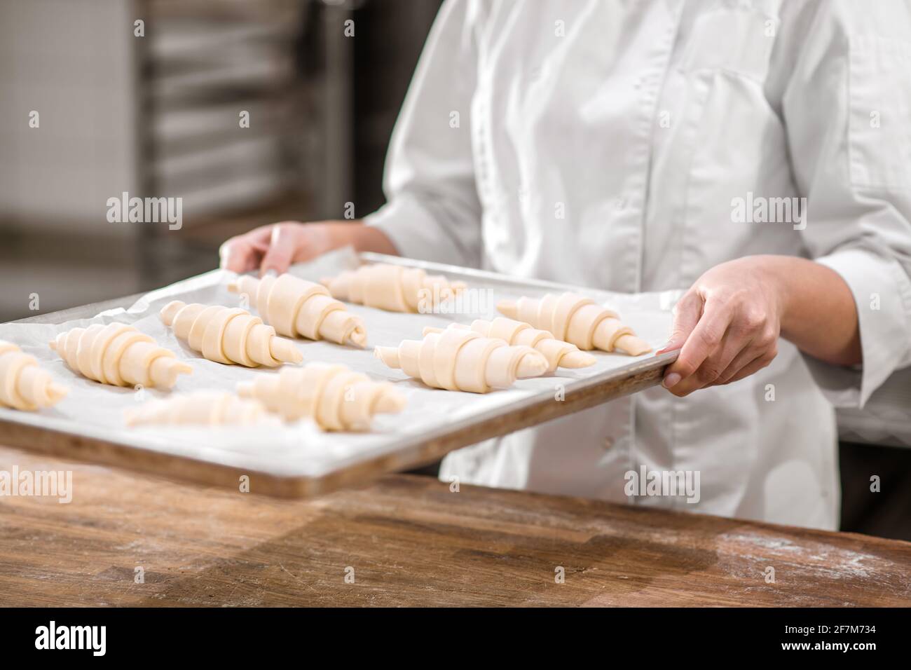 Hands with tray of raw croissants prepared for baking Stock Photo - Alamy
