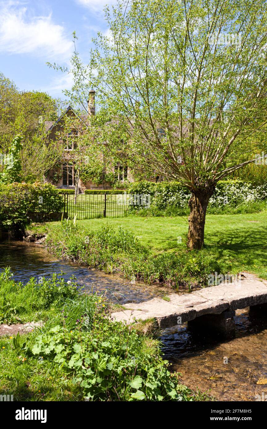 A willow tree growing beside the old stone bridge over the River Eye in ...