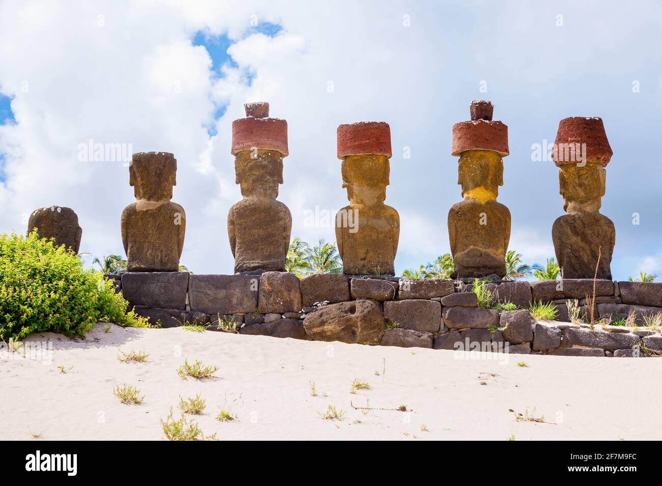 Rear view of heads of restored moai with red scoria topknots (pukao) on ...