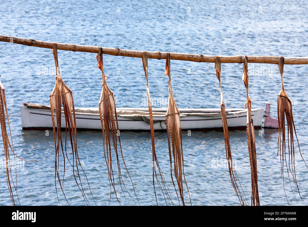 Rodrigues island mauritius hi-res stock photography and images - Alamy