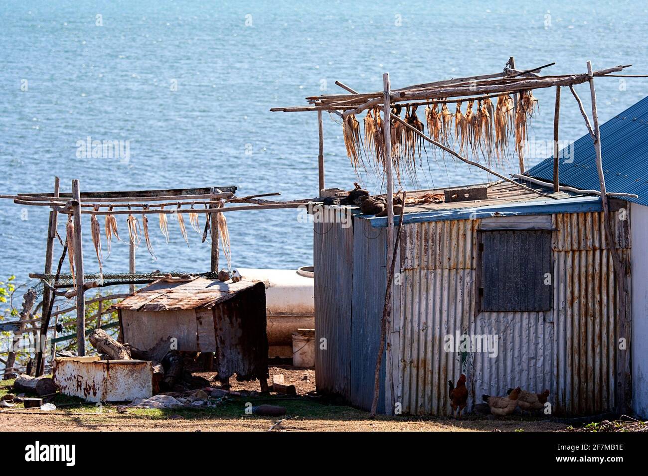 Rodrigues island fish hi-res stock photography and images - Alamy