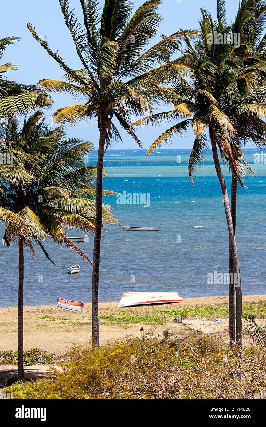 Palm trees, fishing boats on the beach and the colourful Indian Ocean ...