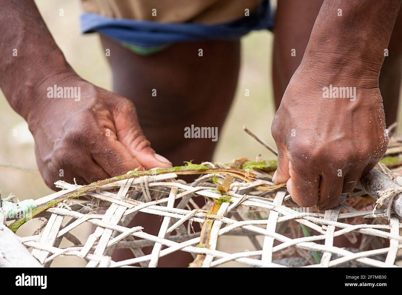 Local fisherman repairing his bamboo fish trap on the beautiful island ...