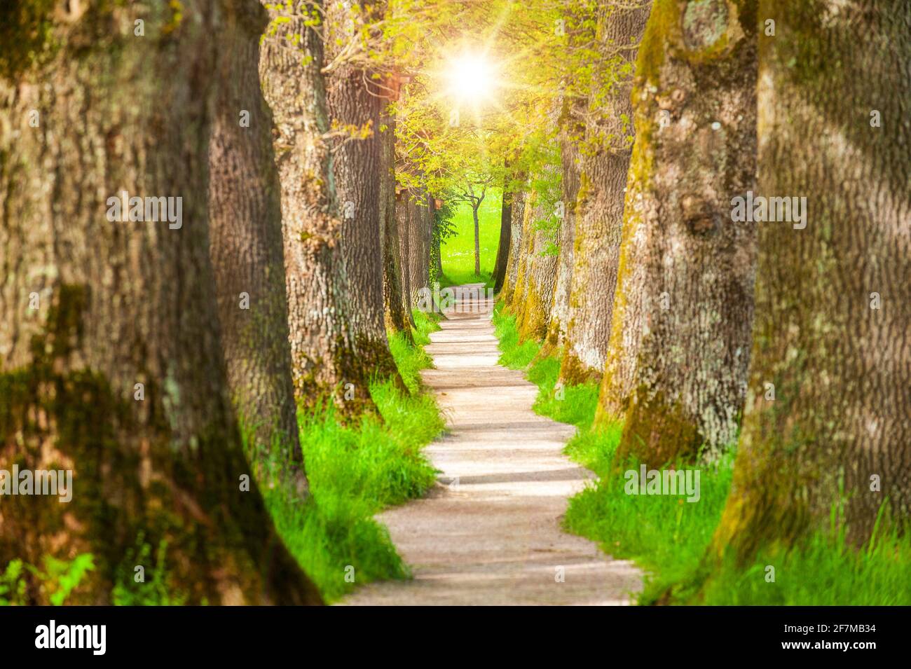 Small alley way hi-res stock photography and images - Alamy