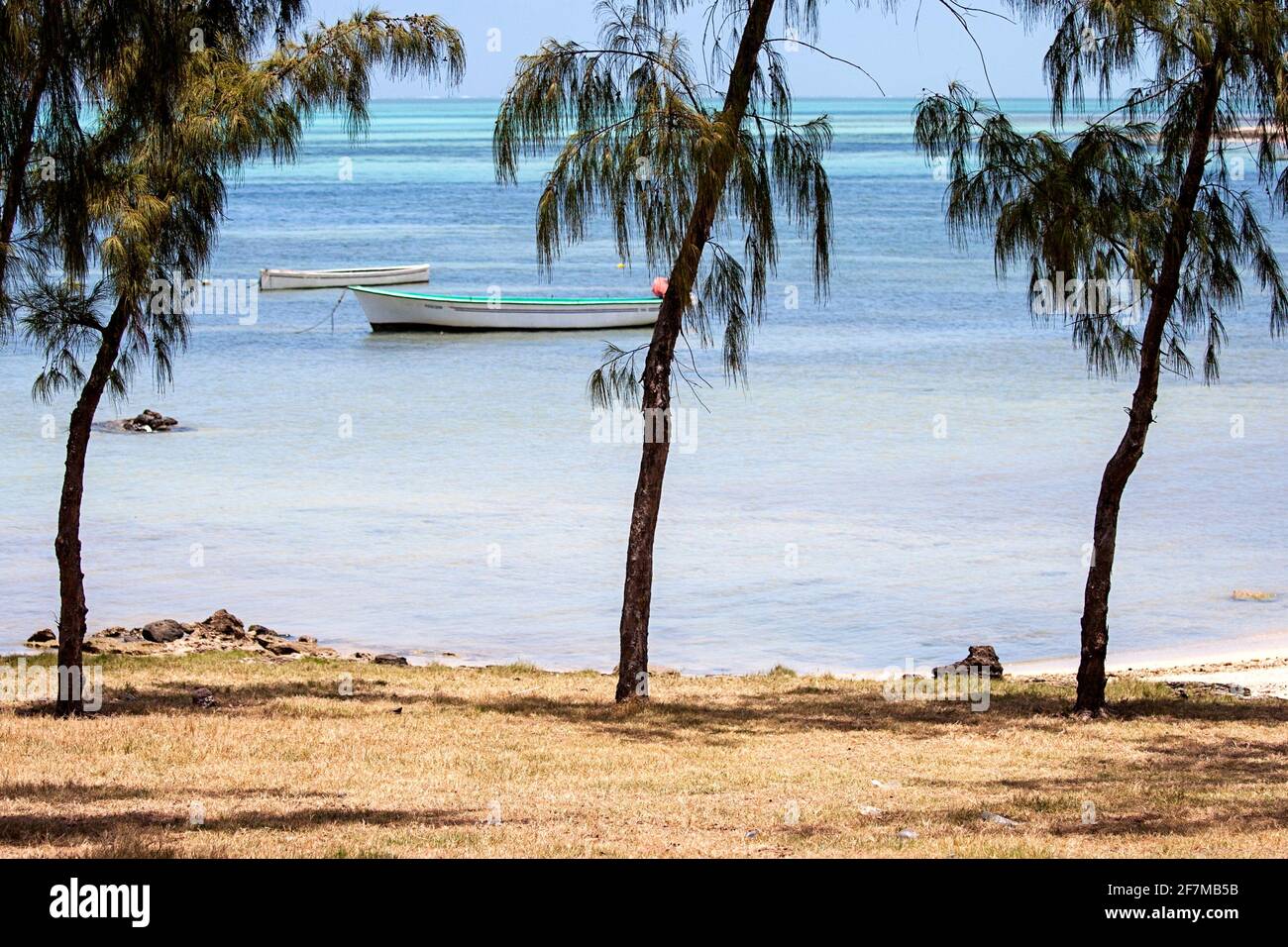 Rodrigues Island Fish High Resolution Stock Photography and Images - Alamy