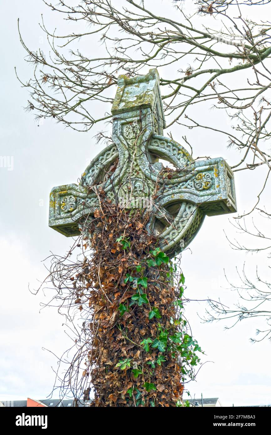 A Celtic cross grave memorial being slowly covered by ivy in an old ...