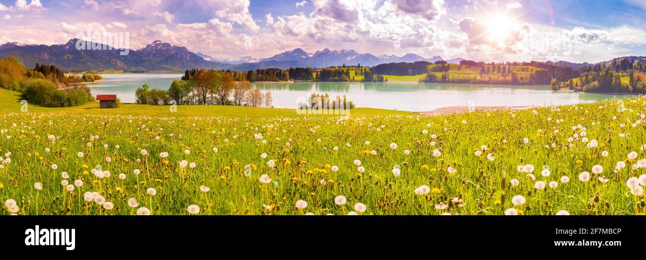 beautiful rural landscape in Bavaria with mountain range and meadow at ...