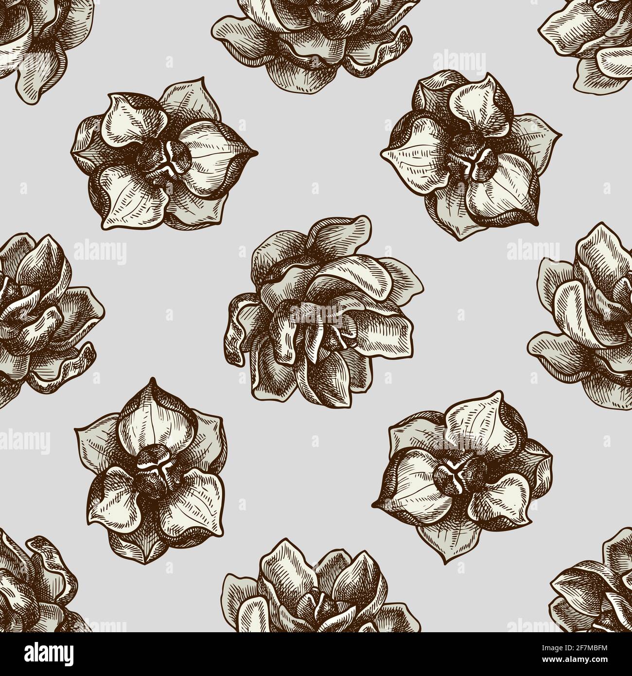 Chinese magnolia tree Stock Vector Images - Alamy