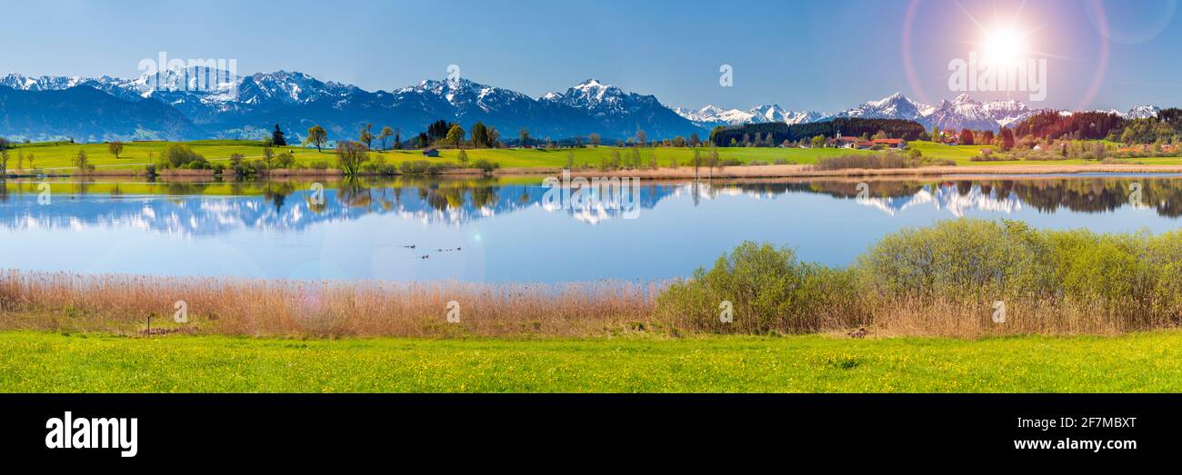 beautiful rural landscape in Bavaria with mountain range and meadow at ...