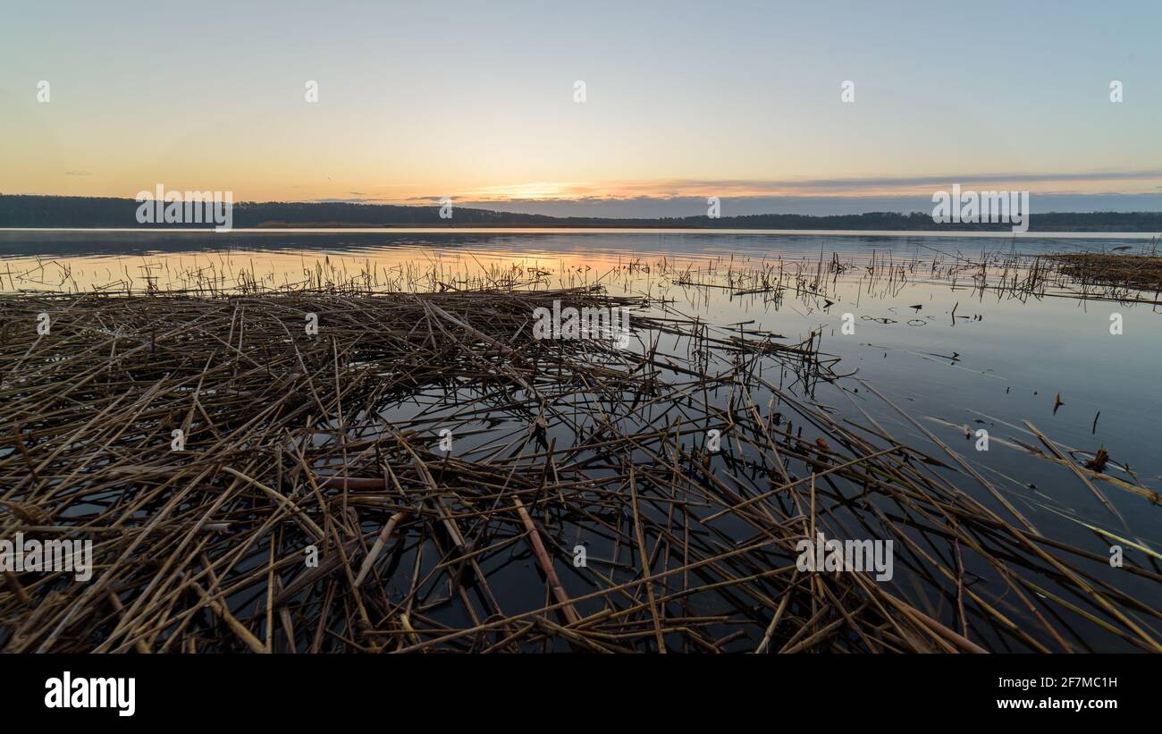 The amazing nature of Kaunas Lagoon in the spring morning Stock Photo ...