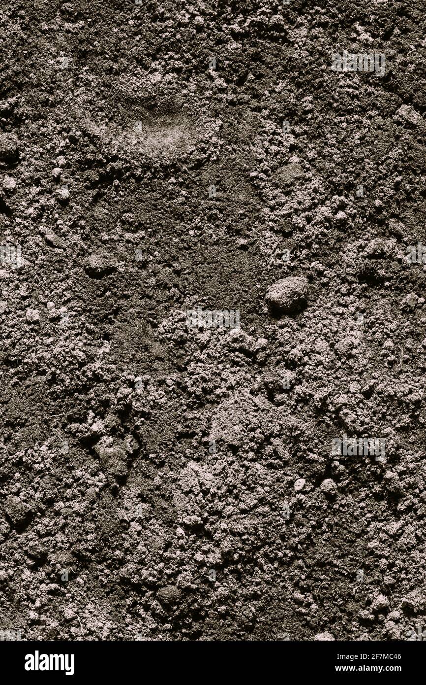 Black Dark Soil Dirt Backdprop Texture, Natural Pattern. Flat Top View ...