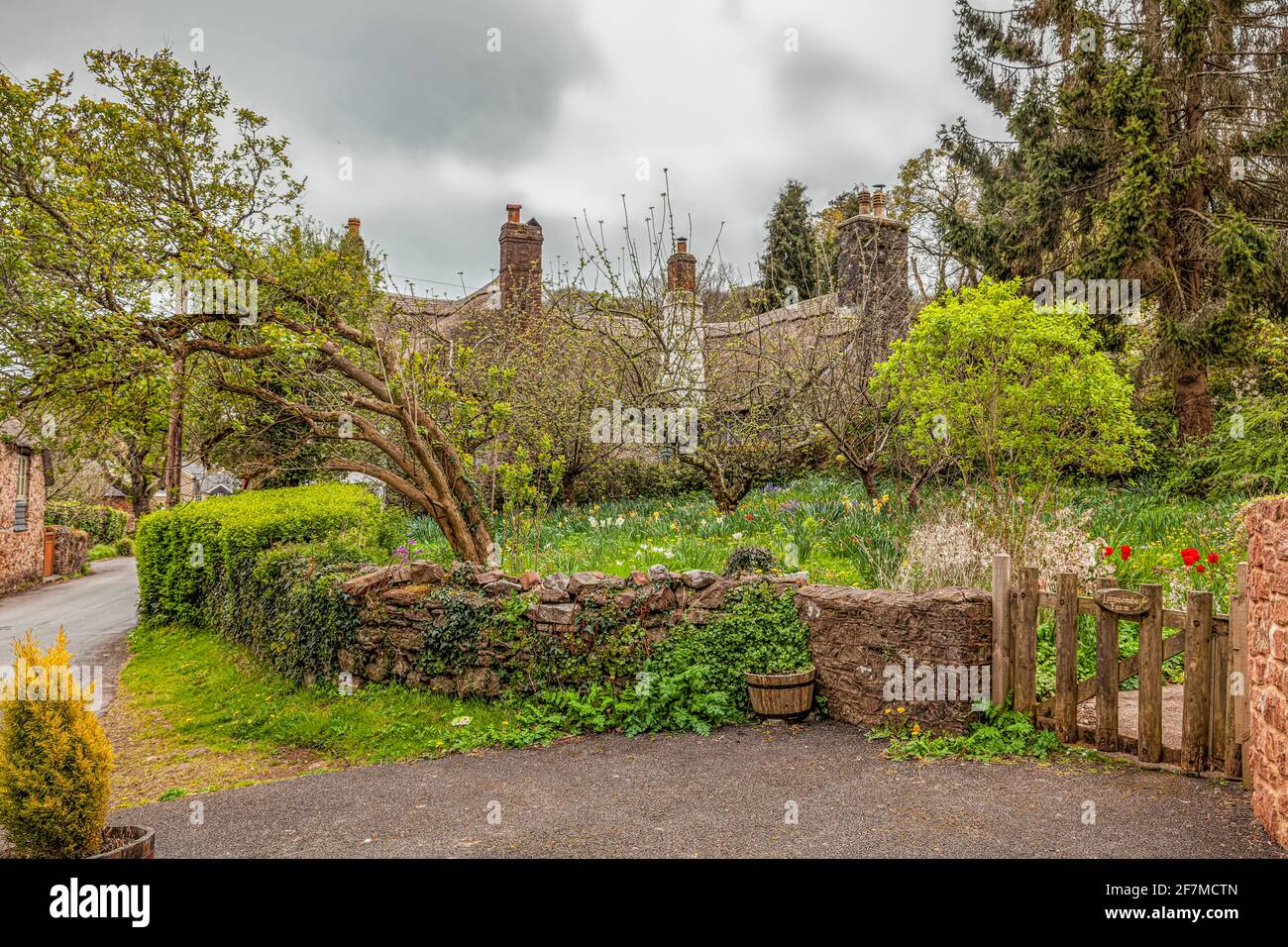 Thatched Cottage in Devon Stock Photo - Alamy