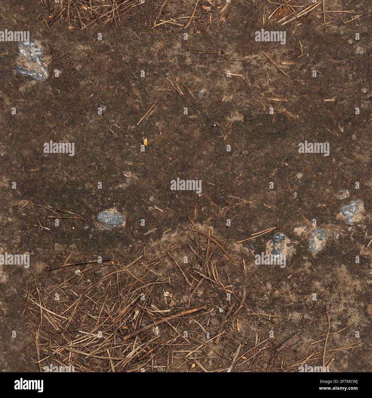 Square seamless forest dirty ground texture Stock Photo - Alamy