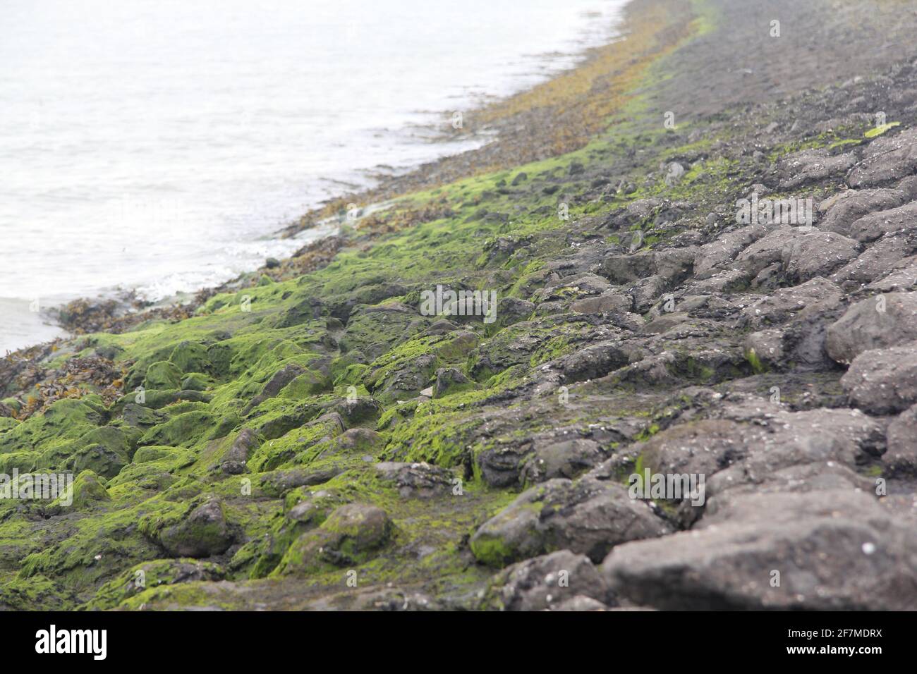 Detail view of a paved with stones dike at the North Sea Stock Photo ...