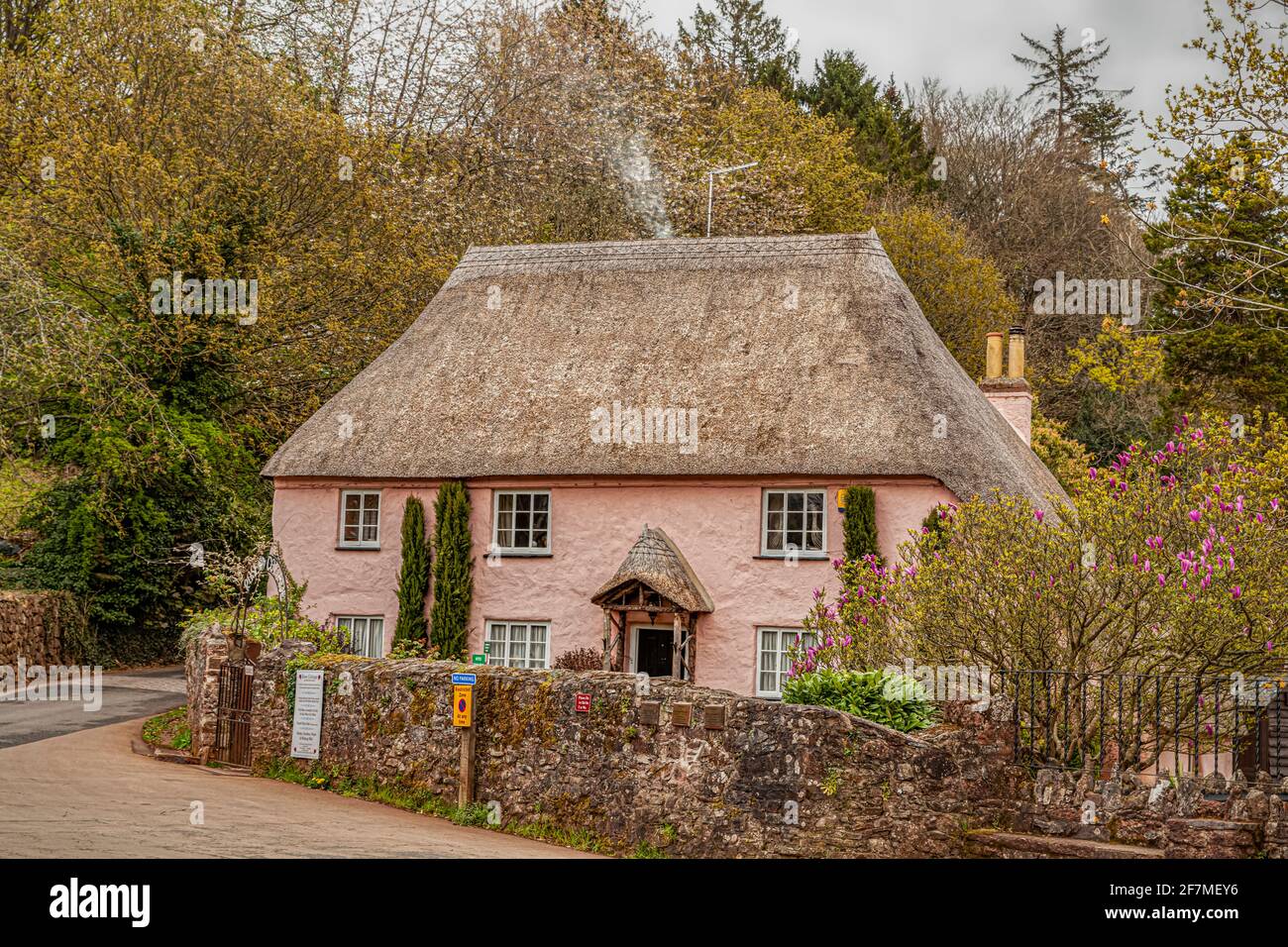 Thatched cottage with pink walls in Cockington Devon Stock Photo - Alamy