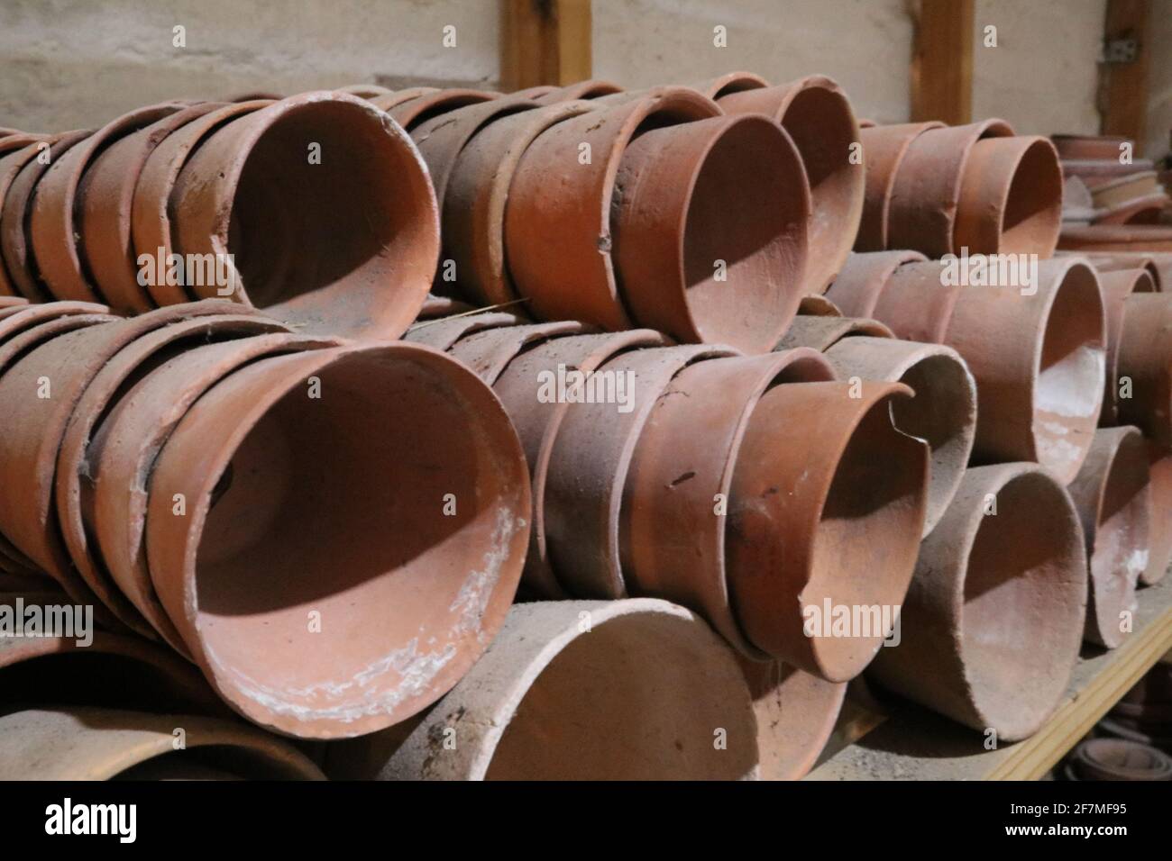 Large round flower hi-res stock photography and images - Alamy