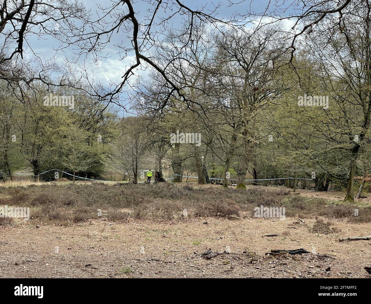 Body found in Epping Forest UK Stock Photo - Alamy