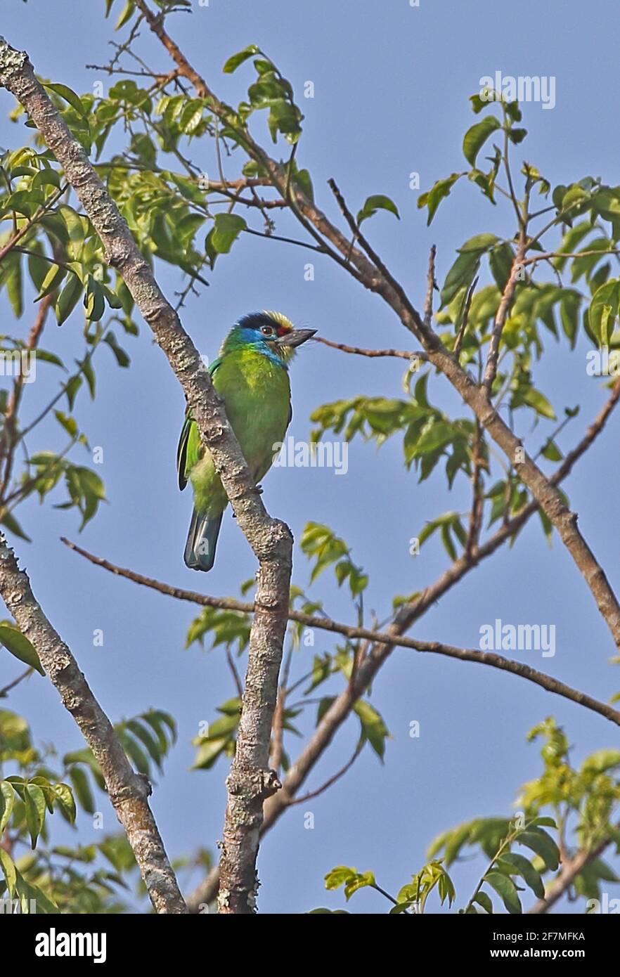 Annam highlands hi-res stock photography and images - Alamy