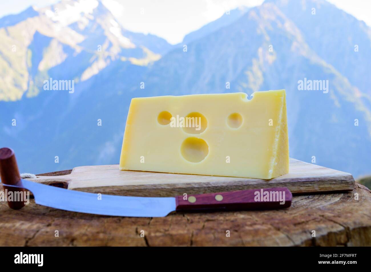 Cheese collection, French emmental de savoie cheese with round holes ...