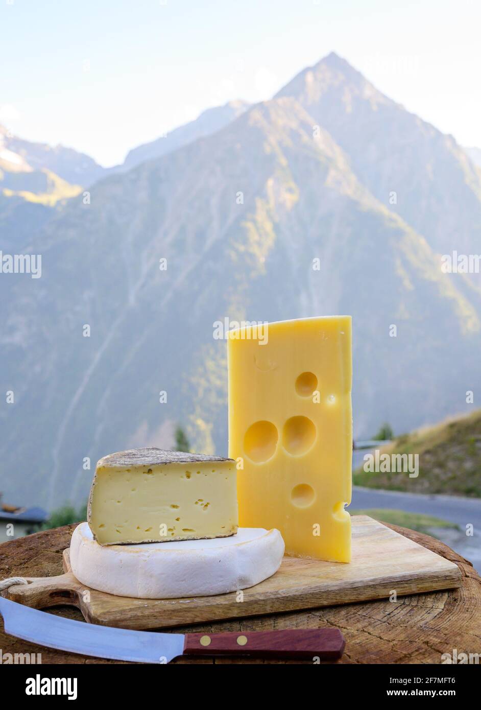 Cheese collection, French emmental, tomme and reblochon de savoie ...