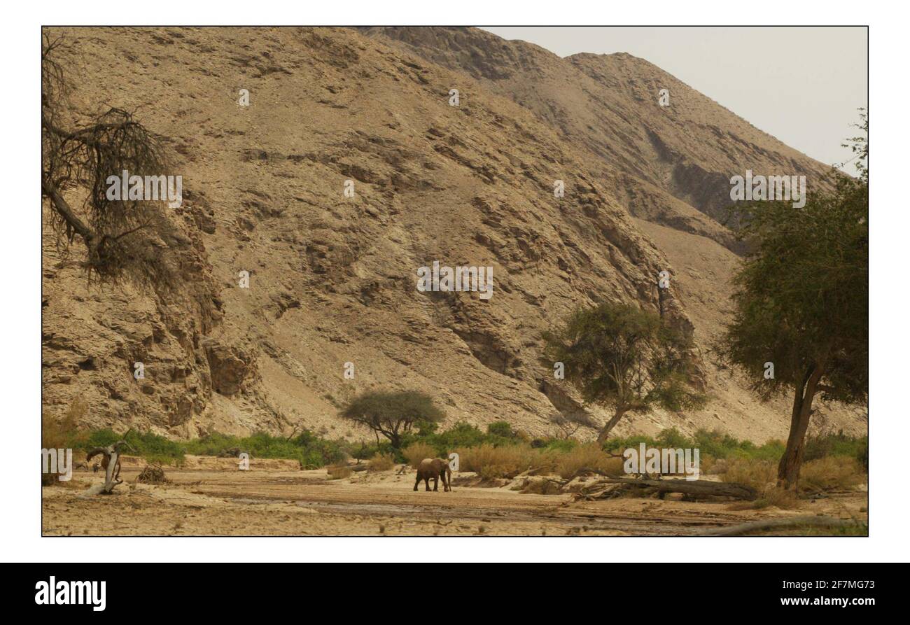 Independent Christmas Appeal......Integrated Rural Development and ...