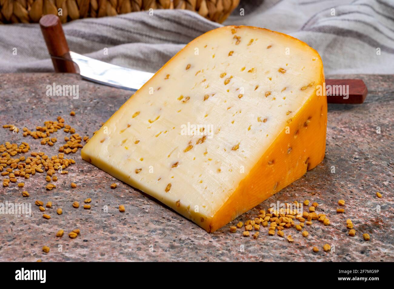 Cheese collection, piece of hard yellow Dutch gouda cheese with dried ...