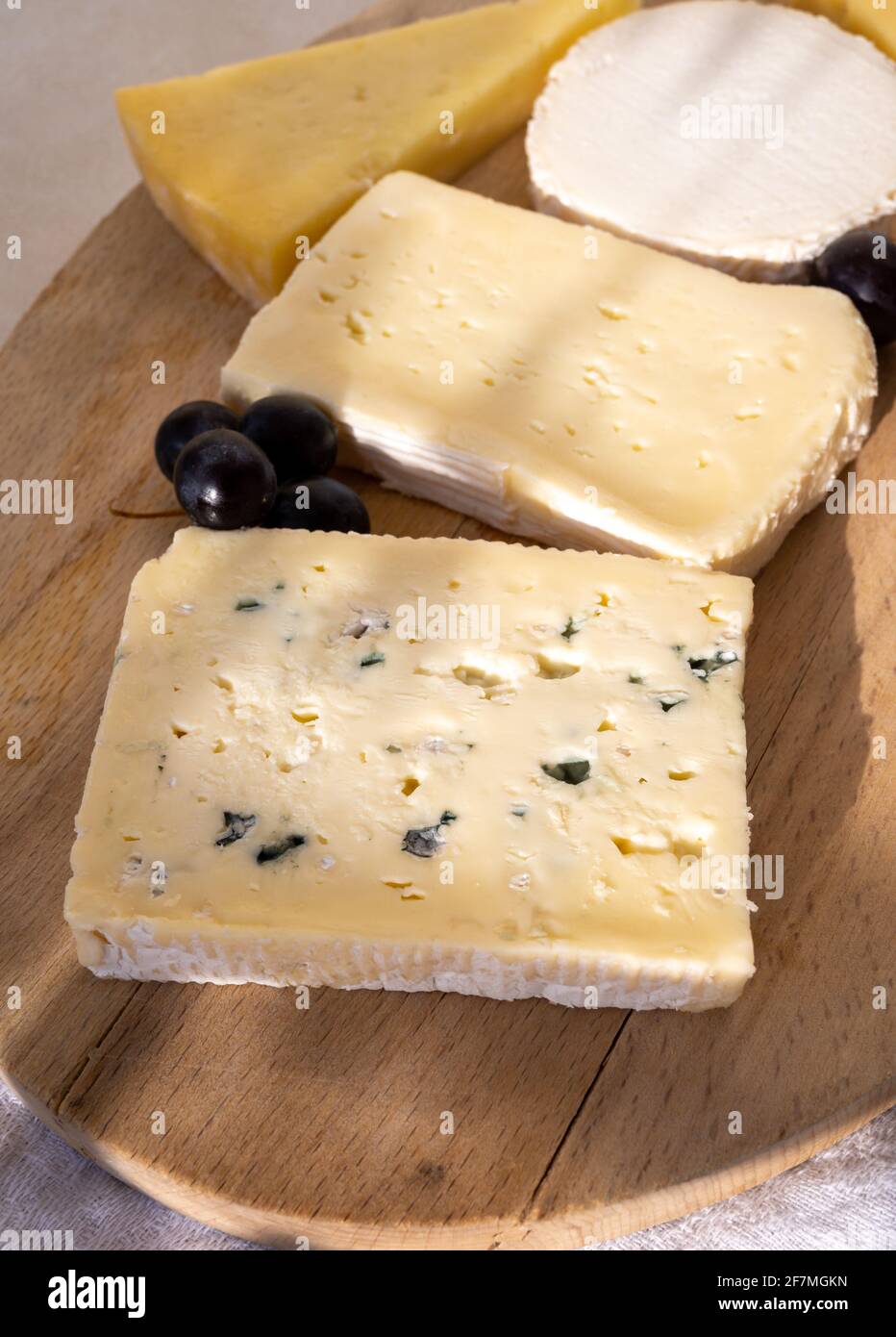 French cheese collection on marble board, emmental, carre de aurillac ...