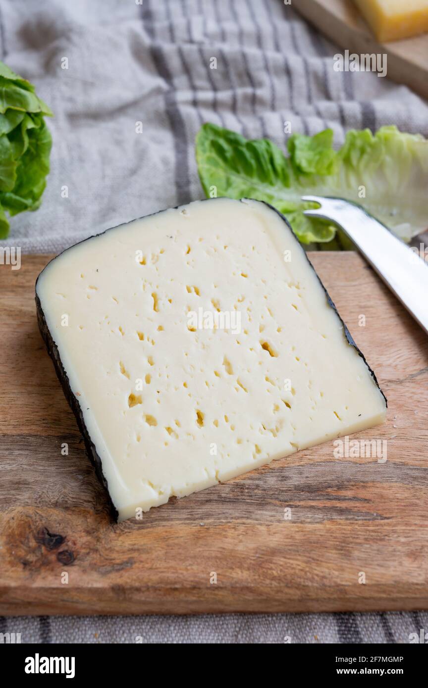 Cheese collection, French fol epi cheese with many little holes, etorki ...