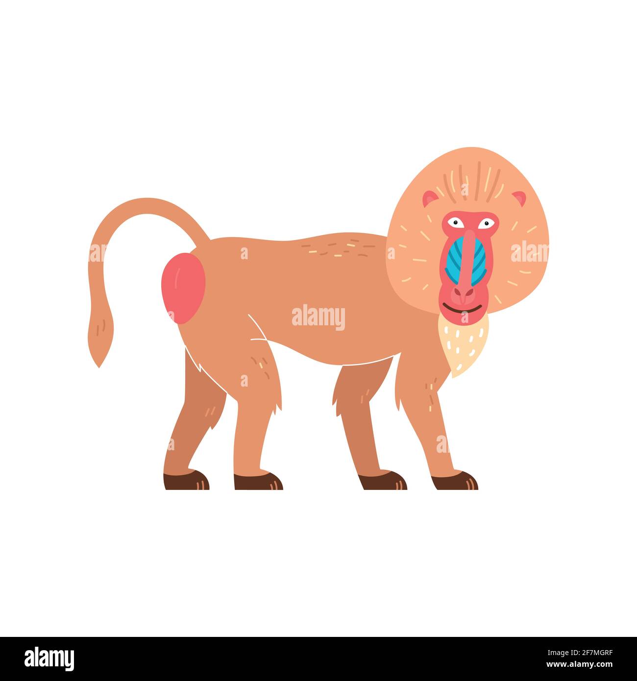 Baboon with a happy face, vector illustration on a white background ...