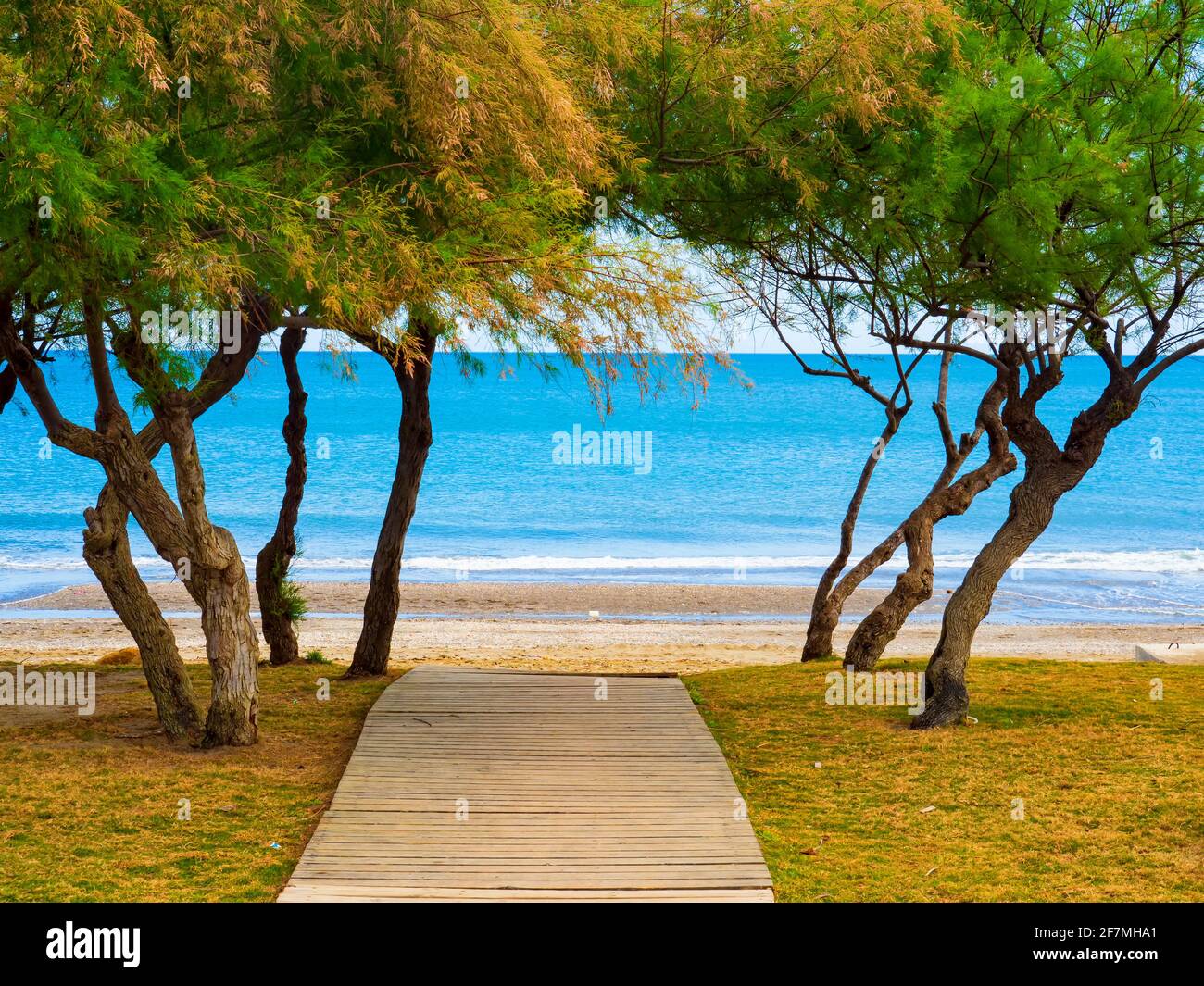 Path through trees to beach hi-res stock photography and images - Alamy
