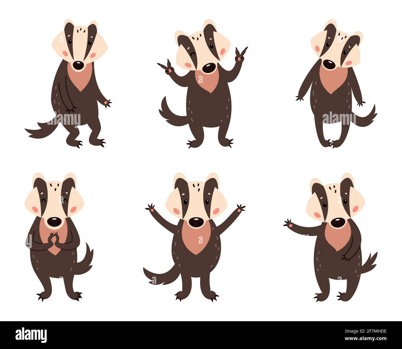Badger on a white background. Forest animal. Vector illustration of ...