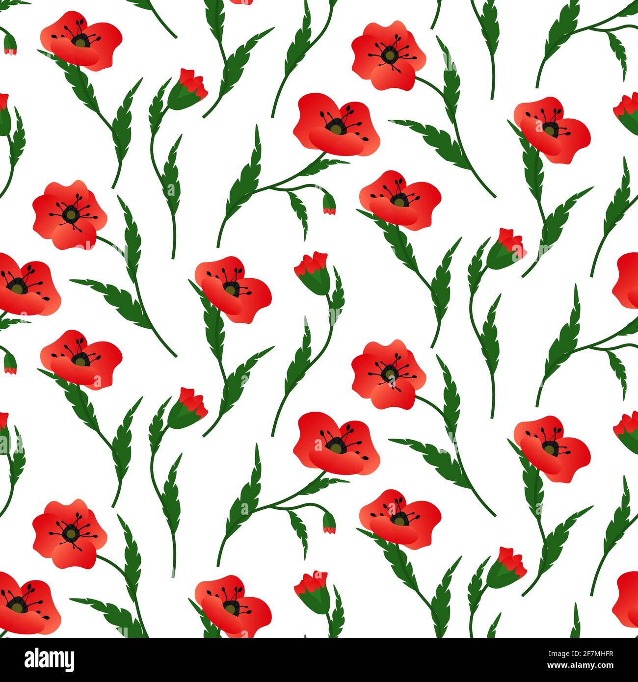 Pattern with red poppies. Floral vector print on white background Stock ...