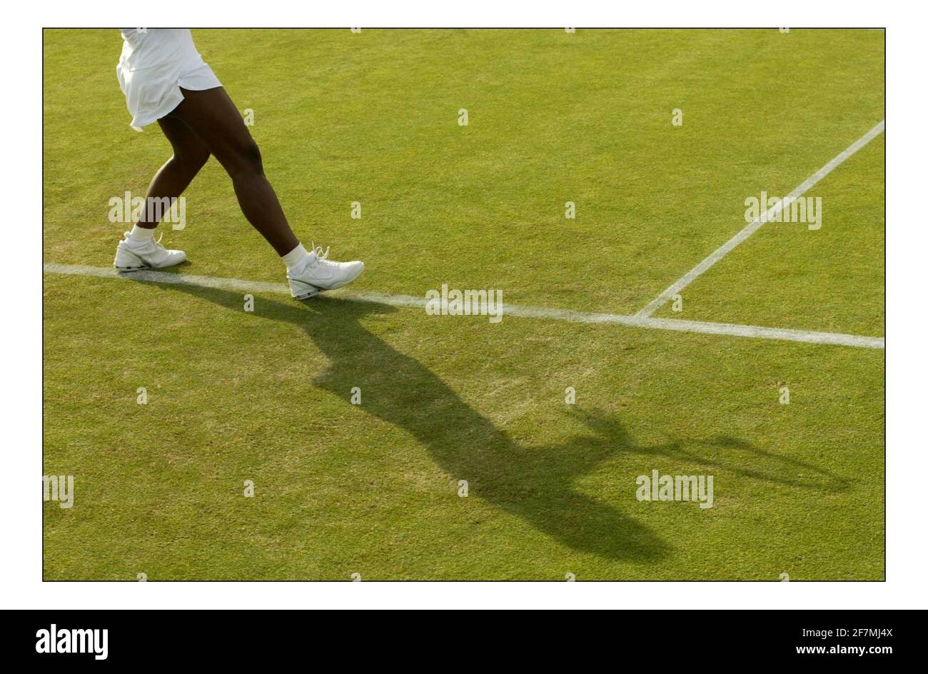 David williams Cut Out Stock Images & Pictures - Alamy