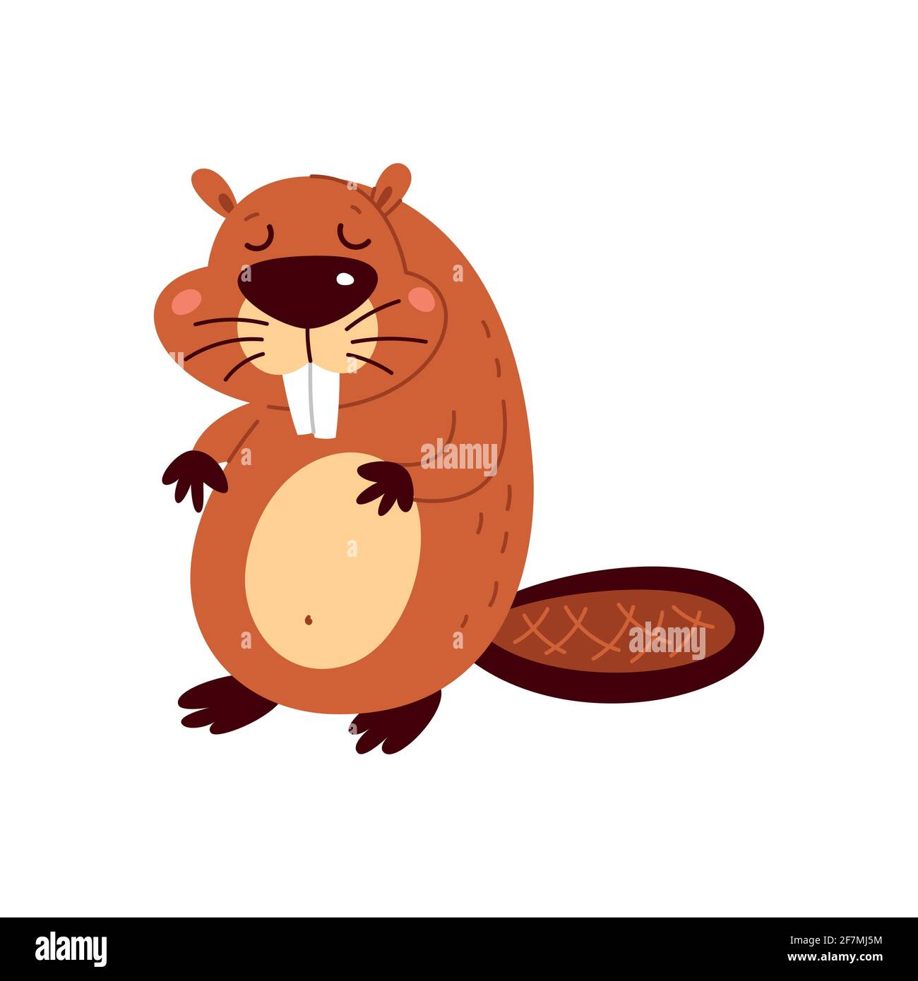 Funny cartoon beaver on a white background. Vector illustration Stock ...