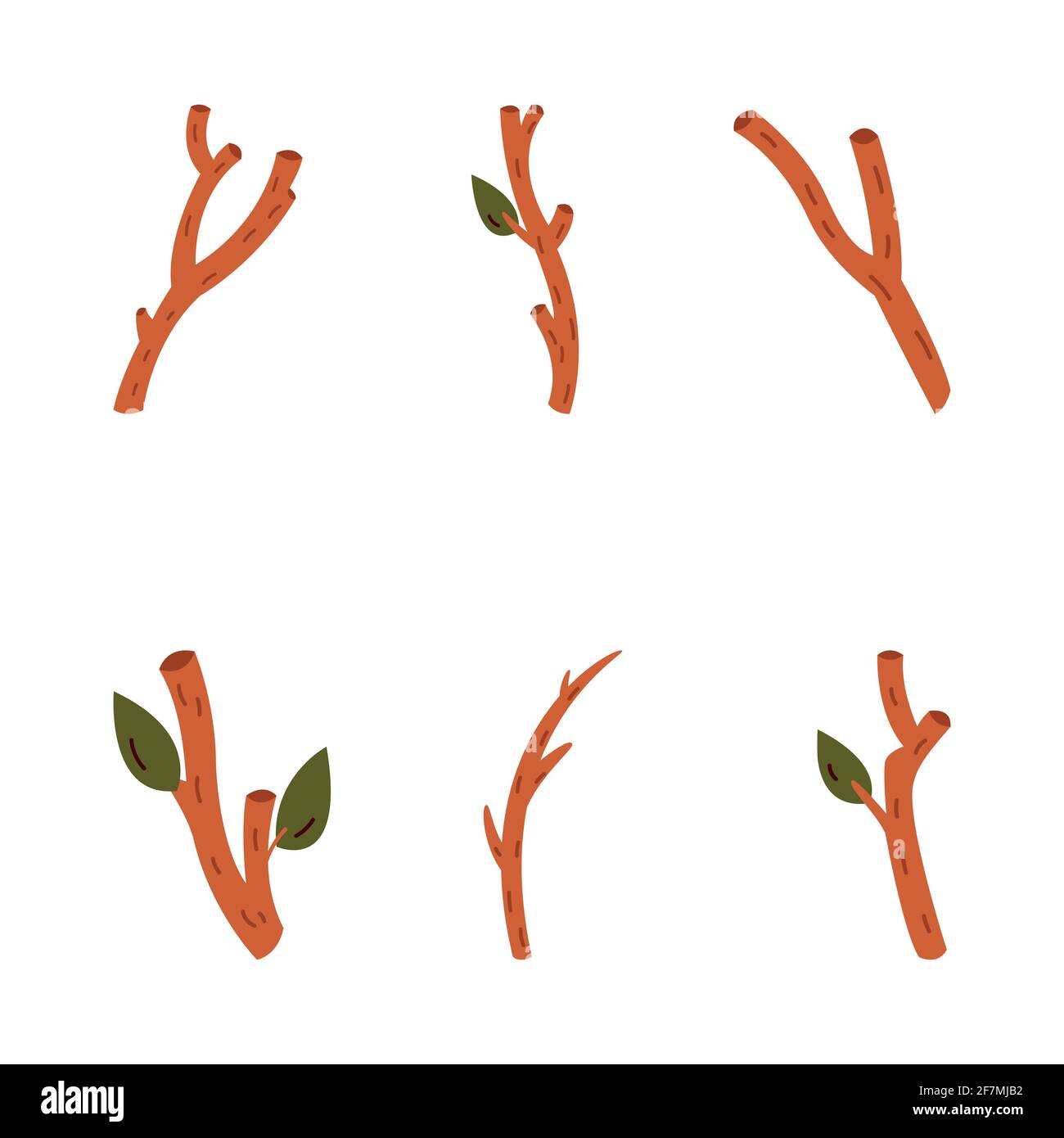 Branches of trees isolated on a white background. Vector illustration ...