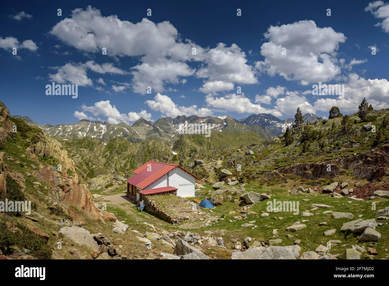 Certascan hi-res stock photography and images - Alamy