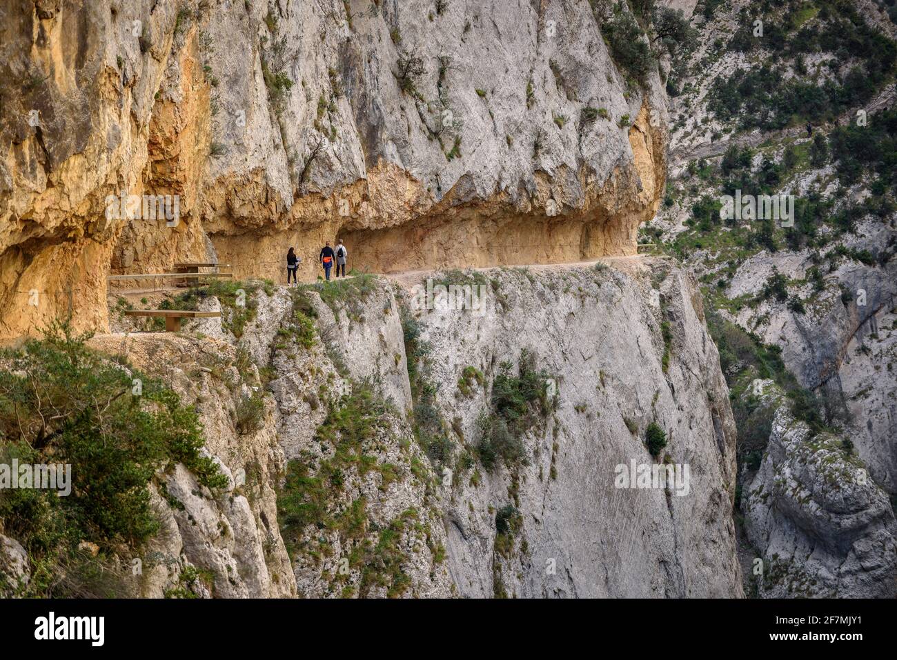 Congost de Mont-rebei gorge, in the Montsec mountain range, with some ...