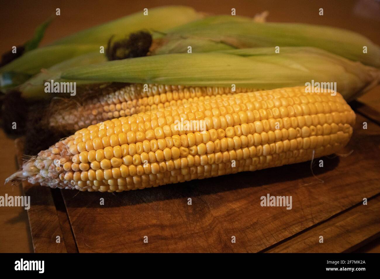 Fresh tender yellow corn on the cob Stock Photo - Alamy