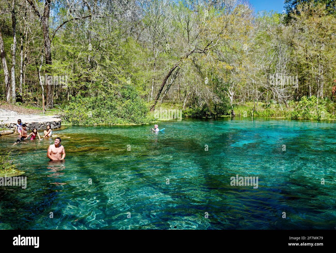 spring head, clear water, people swimming, man snorkeling, recreation ...