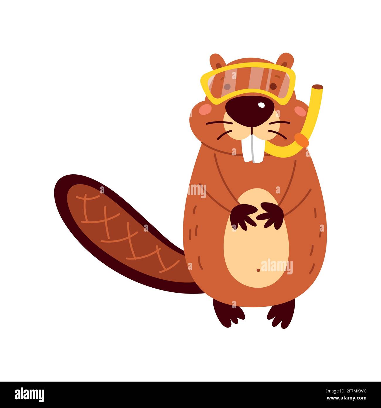 Funny cartoon beaver on a white background. Vector illustration Stock ...