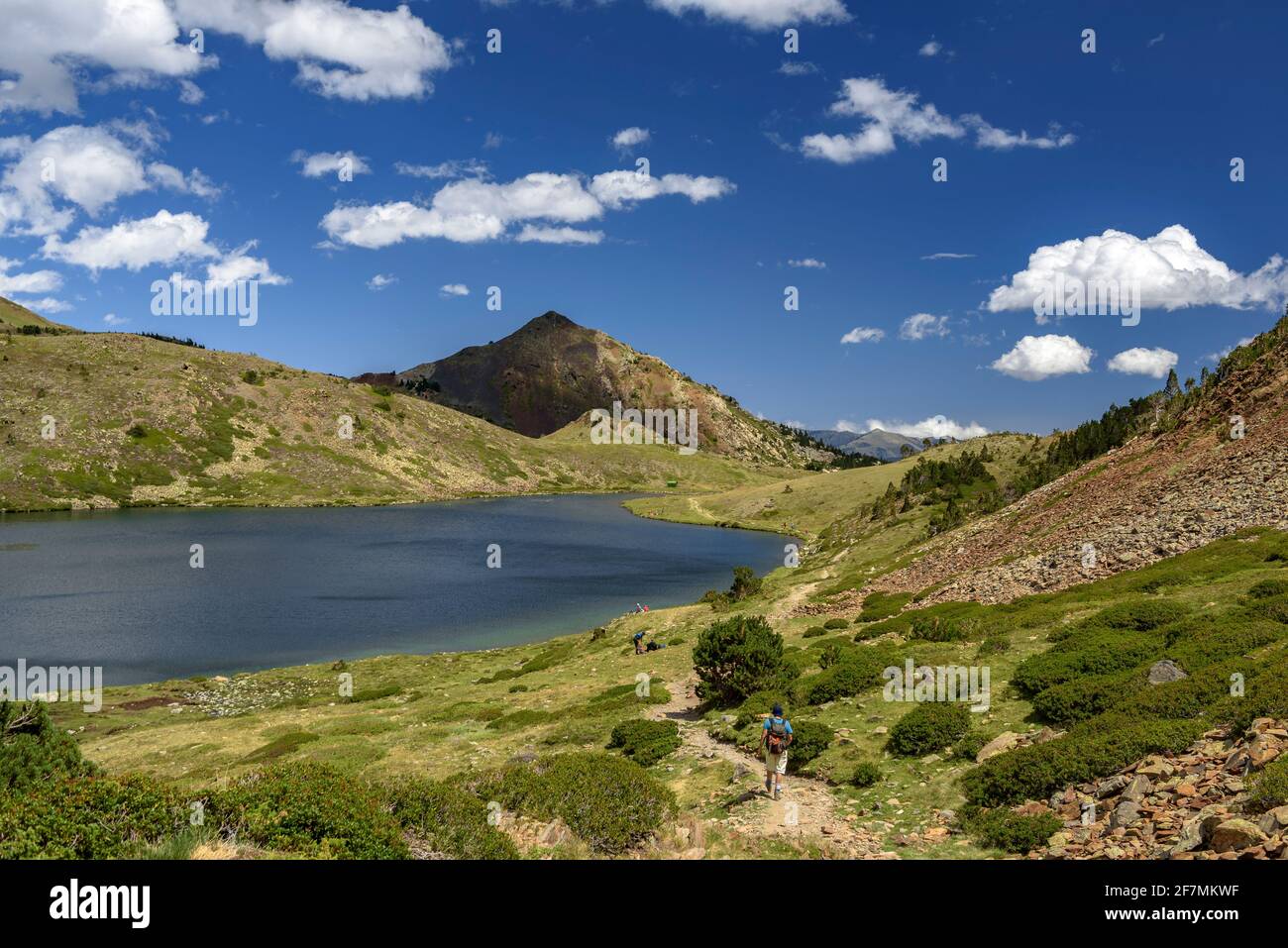 Camino frances paisaje de verano hi-res stock photography and images - Alamy