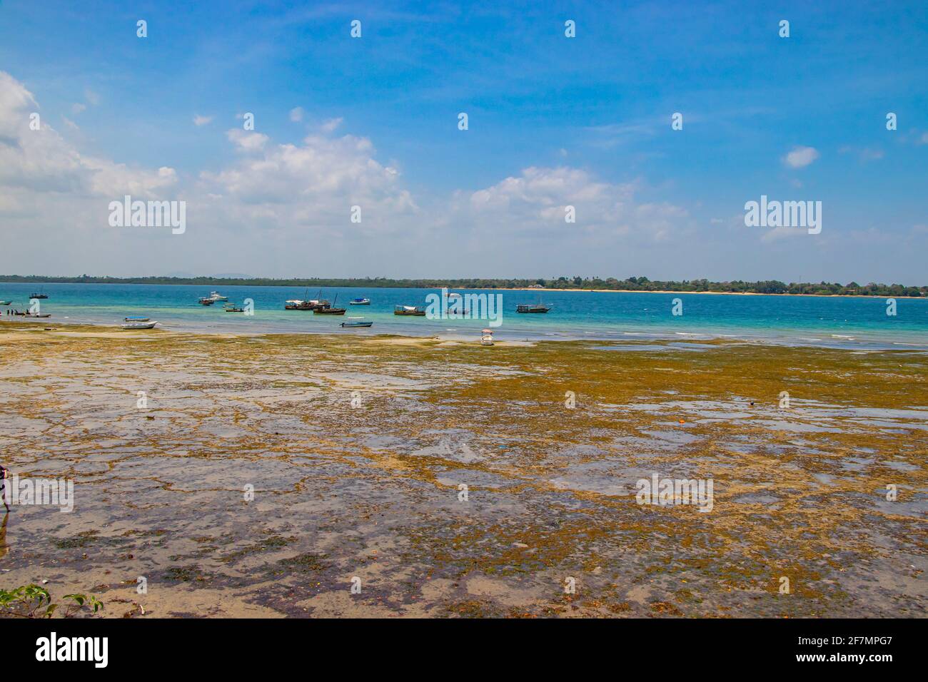 Big low tide on Wasini island in Kenya, Africa. The sea is far from the ...