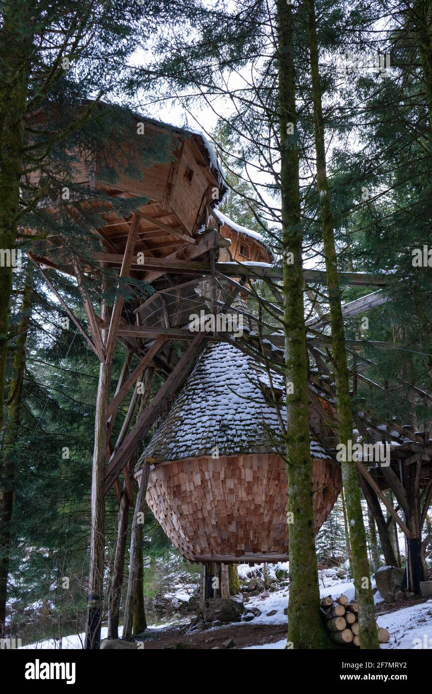 Wooden huts in the middle of the forest Stock Photo - Alamy
