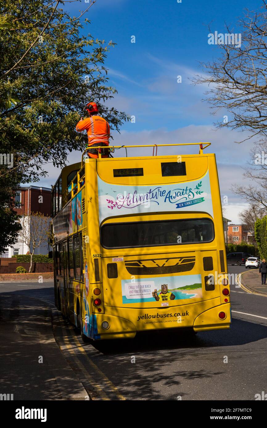 A Yellow Double Decker Bus High Resolution Stock Photography and Images ...