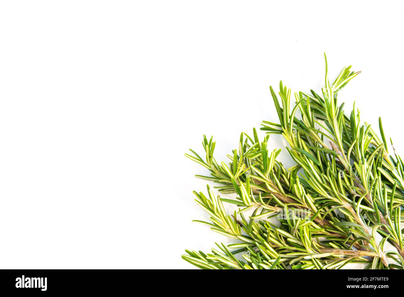 Fresh rosemary leaves isolated on white background with top left copy ...