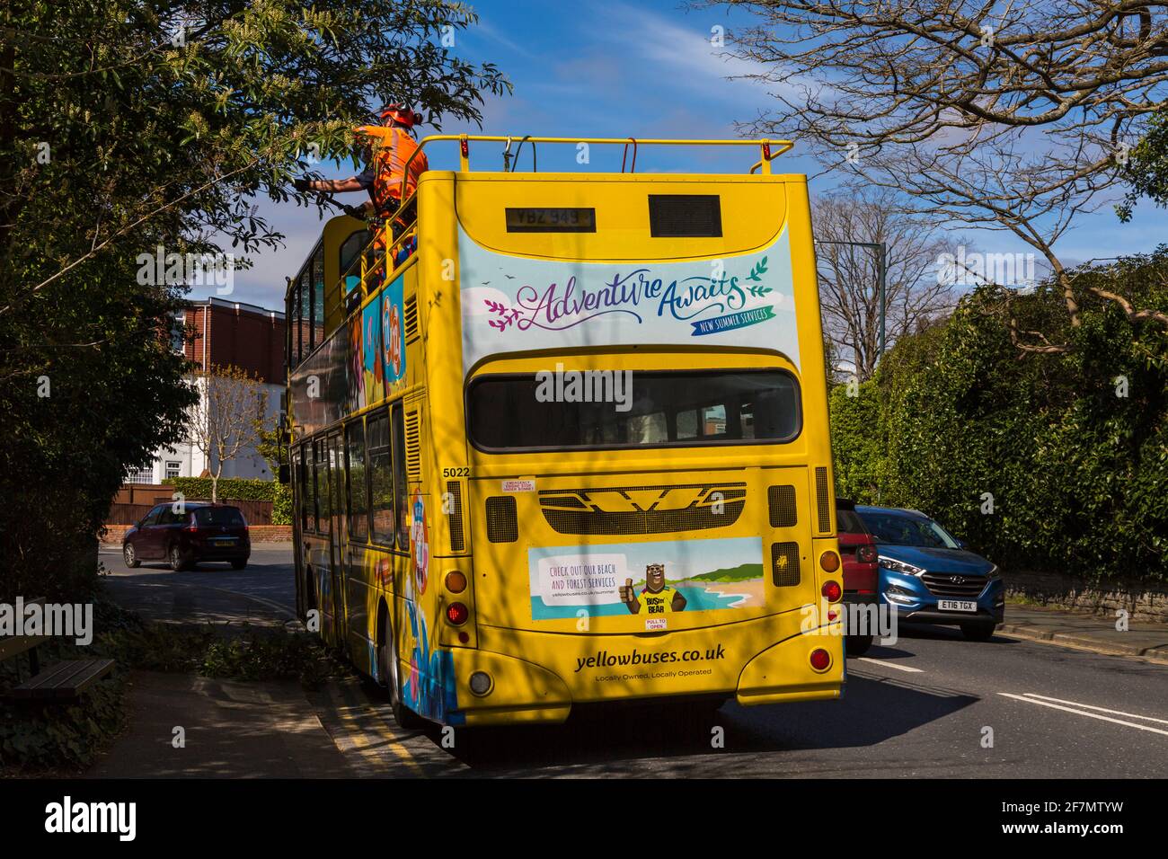Cutting back overhanging trees from top of open top double decker ...