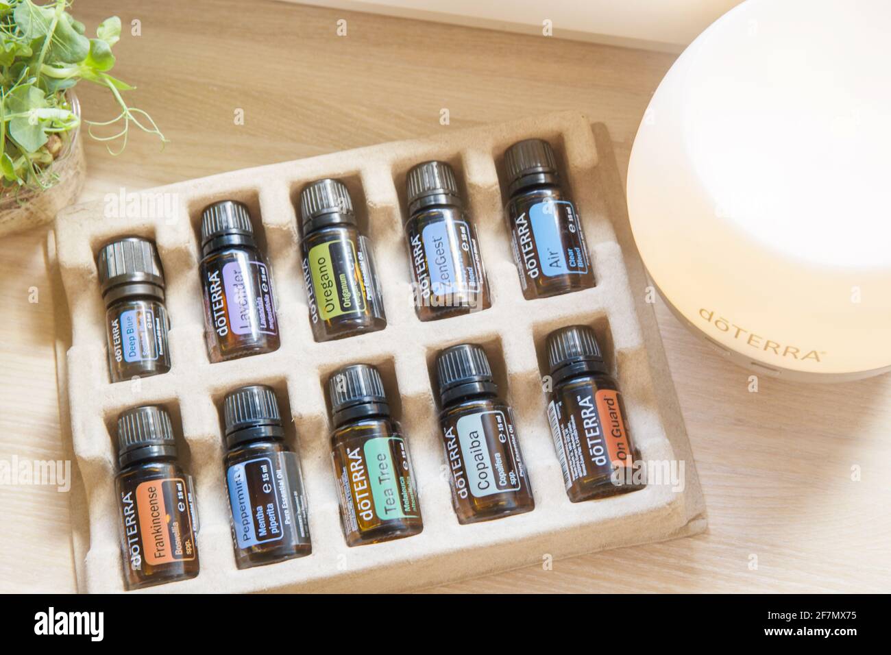 Riga, Latvia - April 8, 2021: doTERRA Home Essentials Kit essential ...